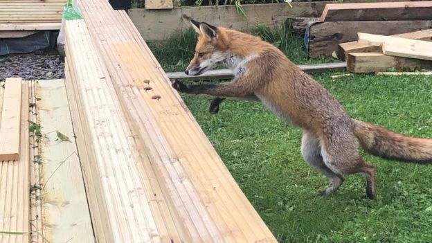 Your pictures of Scotland: 8-15 October - BBC News