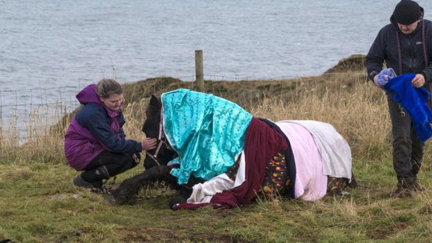 Horse down cliffs at Cammachmore sparks rescue effort - BBC News