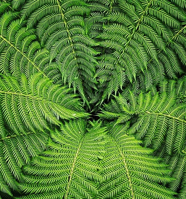 Your pictures of Scotland: 5-12 Aug - BBC News