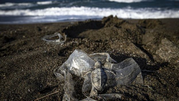 Os segredos revelados pelas ilhas de lixo formadas nos oceanos - BBC ...