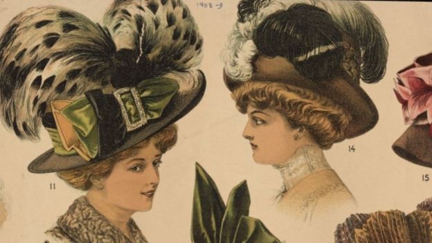 RSPB's Emily Williamson: The woman who saved a million birds - BBC News