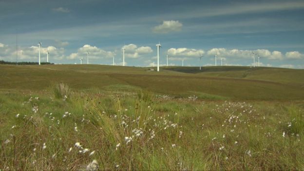 Green energy: How powering Northern Ireland has changed - BBC News