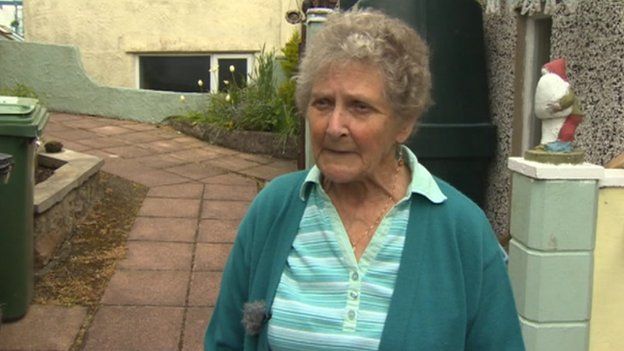 Seagulls, scourge of the seaside? - BBC News