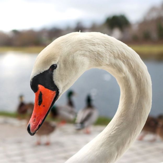 Your pictures of Scotland: 3-10 February - BBC News