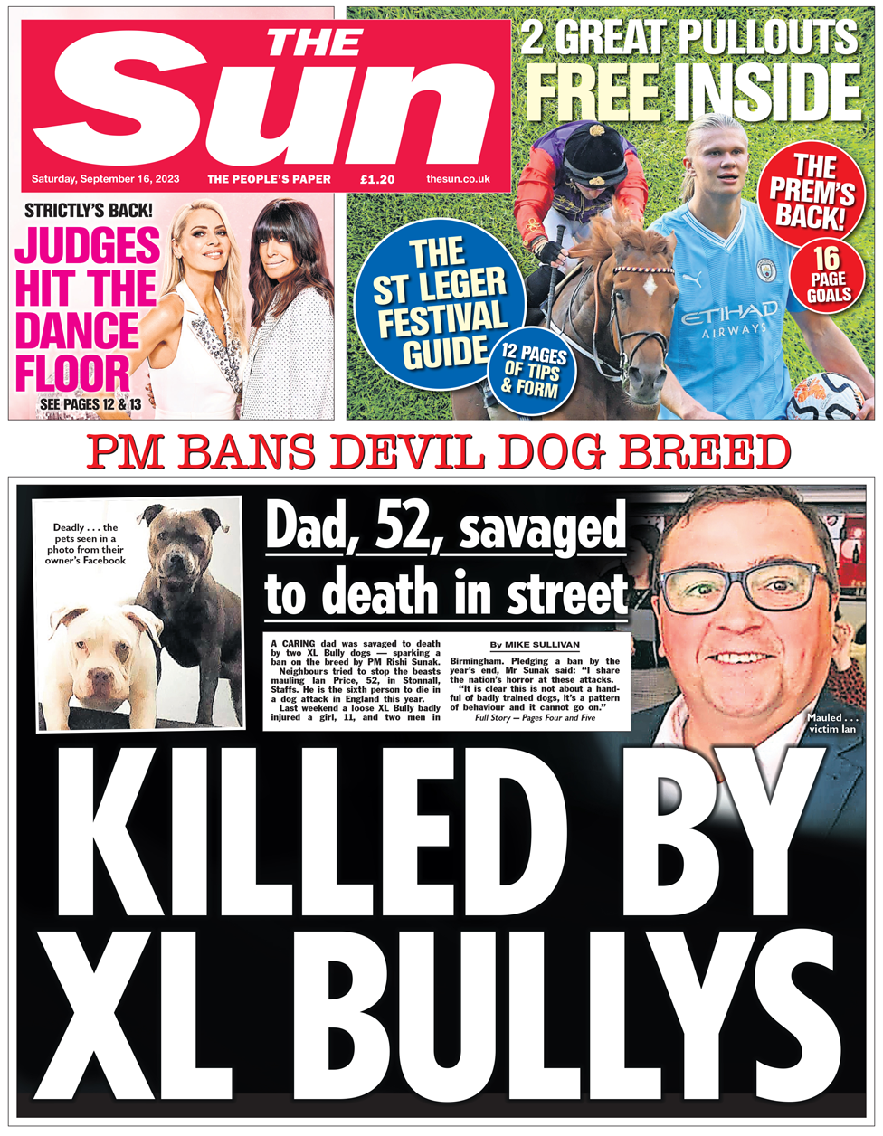 Newspaper headlines: XL bully ban and 'Murdoch team told Sunak not to ...