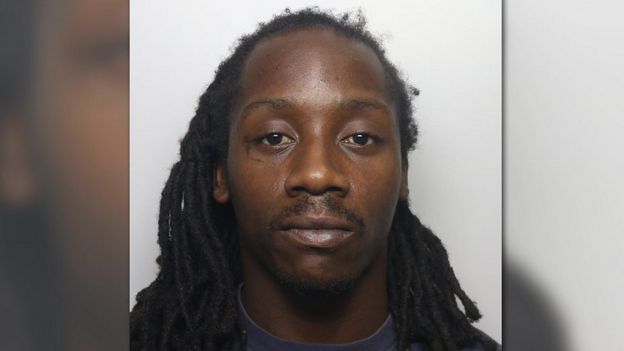 David Ellam death: Man jailed over fatal dog attack - BBC News