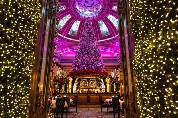 In pictures: Scotland's amazing Christmas trees - BBC News