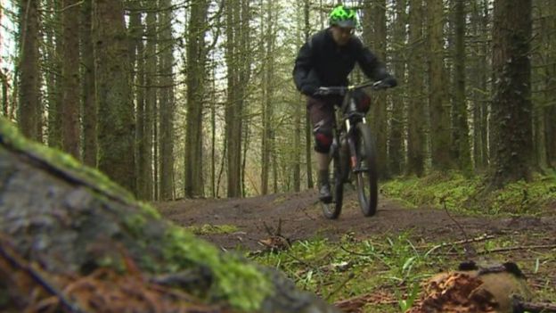 Cyclist finds nail traps on forest path near Lampeter - BBC News