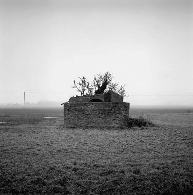 In pictures: The beauty of the fens - BBC News