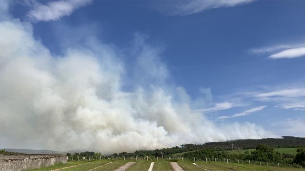 Scotland records hottest day so far as heatwave hits - BBC News
