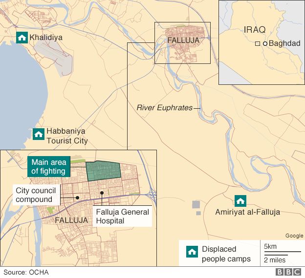 IS conflict: Falluja 'humanitarian disaster' warning - BBC News