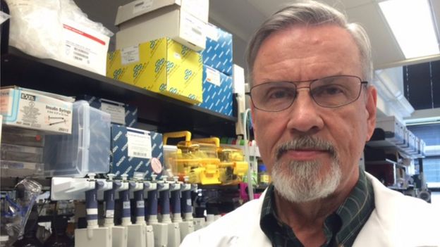 Zika vaccine possible 'within months' - BBC News