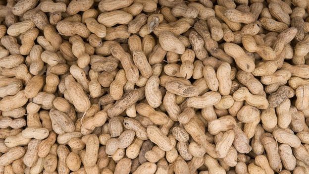 How Rudolf Diesel's engine changed the world - BBC News