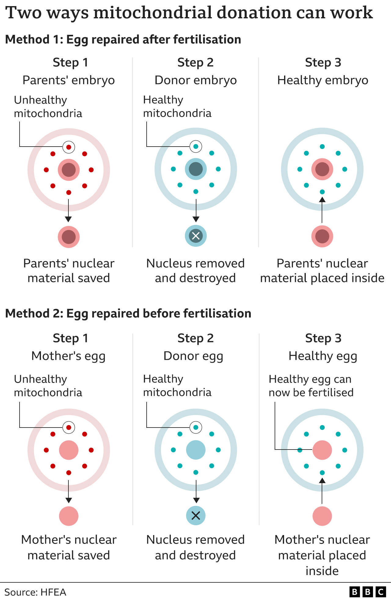 Baby born from three people's DNA in UK first - BBC News