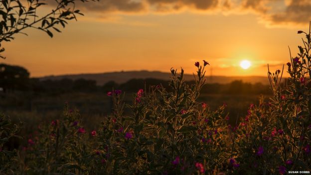Your August weather photos - BBC Weather
