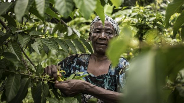 Comoros country profile - BBC News
