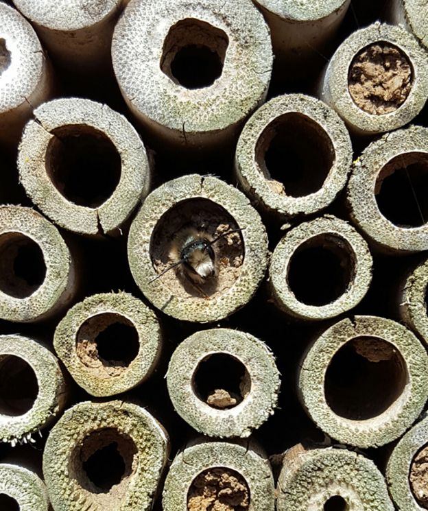 Your pictures of Scotland: 28 April - 5 May - BBC News