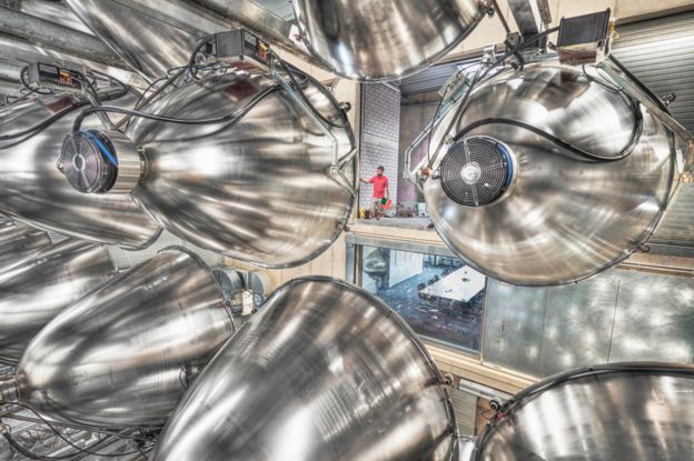 Science Photographer of the Year winners revealed - BBC News