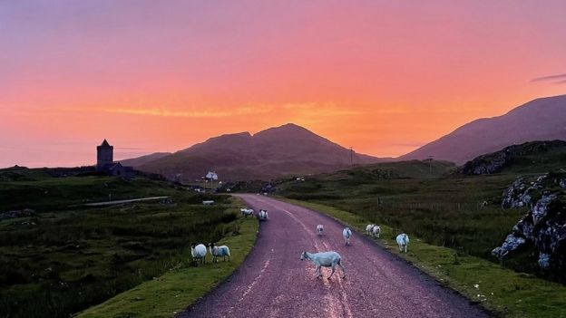 Your pictures of Scotland: 15-22 July - BBC News
