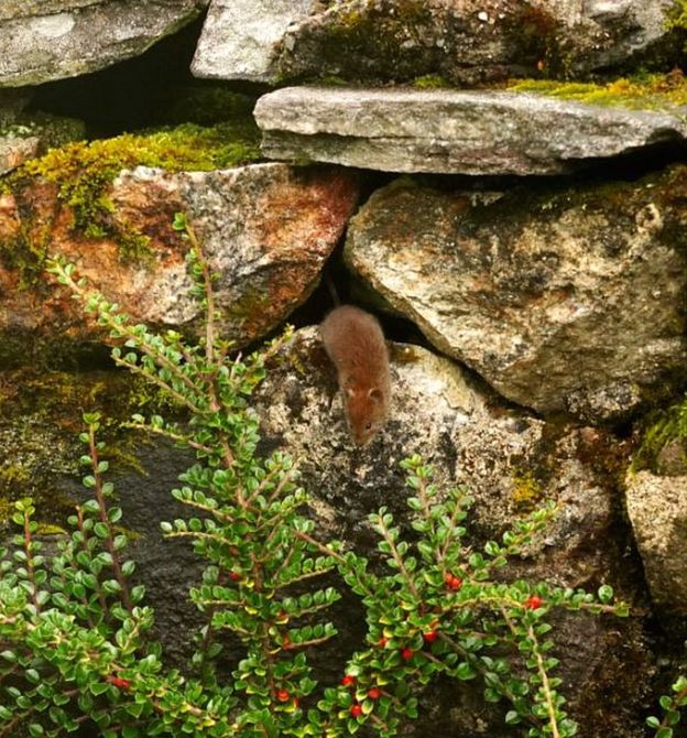 Your pictures of Scotland 11 - 18 September - BBC News