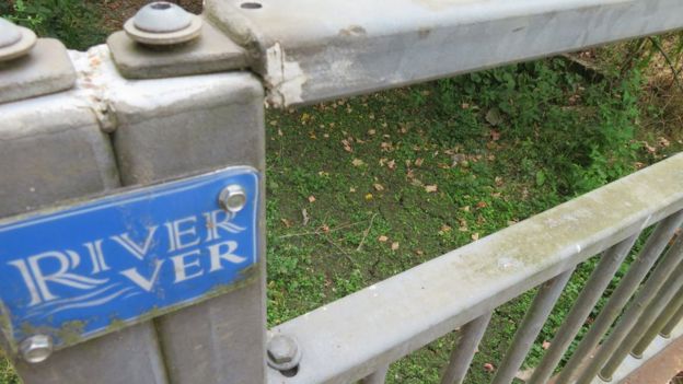 Hertfordshire chalk rivers restoration to combat climate change - BBC News