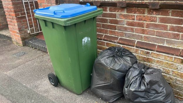 Isle of Wight Council campaign urges residents to 'bring your bin in ...