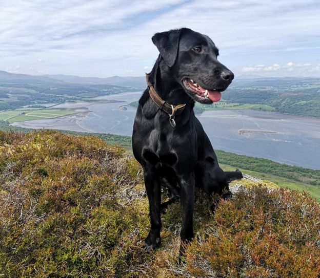 Your pictures of Scotland: 28 June - 5 July - BBC News