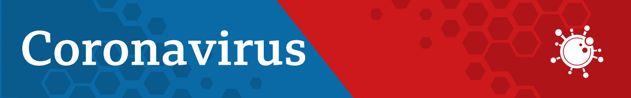 US election 2020: What are Trump's and Biden's policies? - BBC News