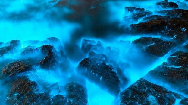Fountainstown Beach: Bioluminescent plankton light up Cork beach - BBC News