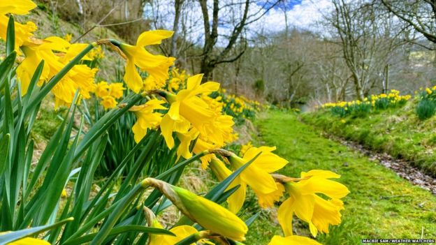 Your photos as spring begins - BBC Weather
