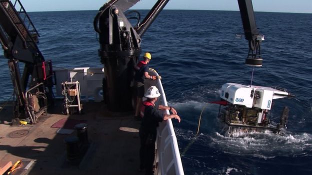 Ghost-like 'Casper' octopod discovered - BBC News