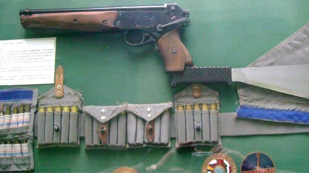 Sent into space: Guns, a lamb chop and sea urchin sperm - BBC News