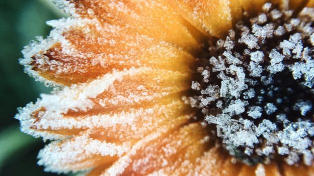 Your pictures: Cold weather - BBC News