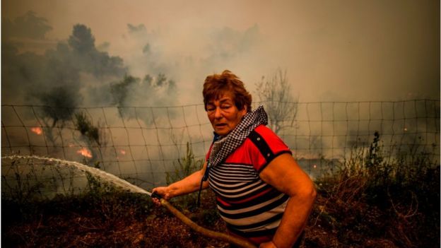 Global warming and land use change to drive more extreme wildfires ...