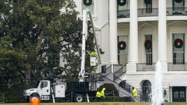 The White House's famous magnolia tree to be cut back - BBC News