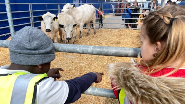 More than 1,000 pupils attend Field to Food event - BBC News