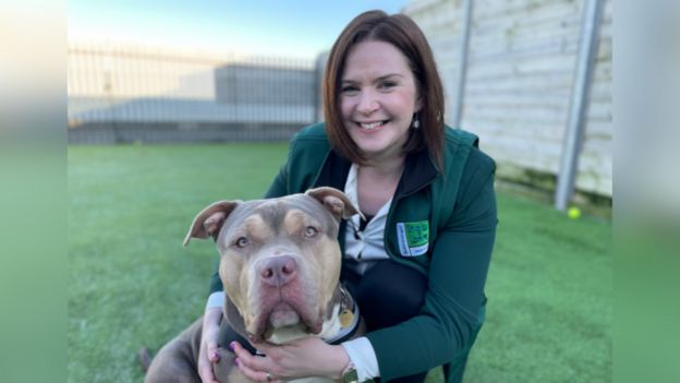 Scottish government announces XL Bully dog 'ban' - BBC News