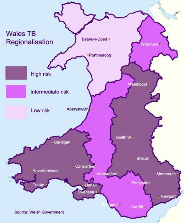 Bovine TB risk map outlined in new Wales approach - BBC News