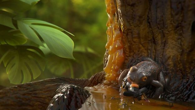 Prehistoric frogs in amber surface after 99 million years - BBC News