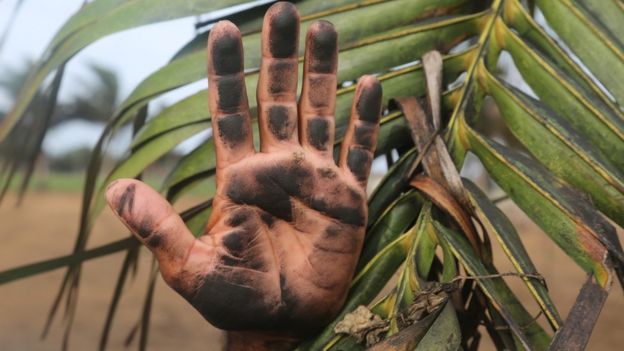 අපේ දෑත් කළු කළේ කවුද ? - BBC News සිංහල