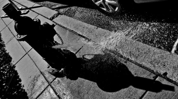 Your pictures: Fragile - BBC News