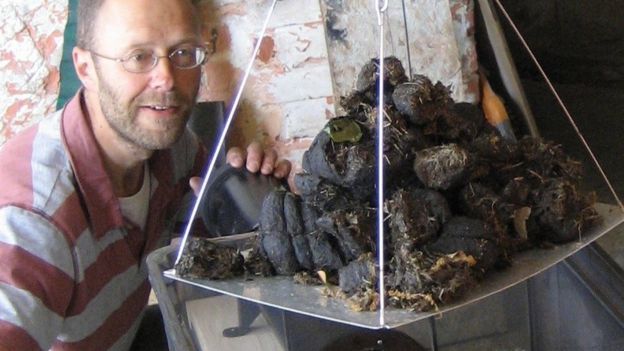 Body fat link to bacteria in faeces - BBC News