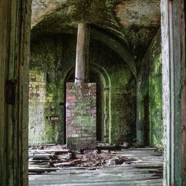 Stack Rock Fort: Victorian island reclaimed by nature - BBC News
