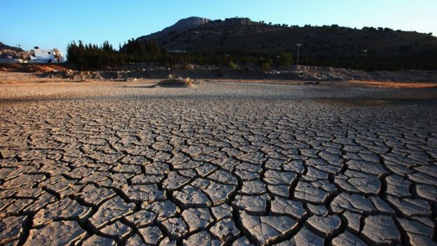 Climate change: What can I do about it and other questions - BBC News