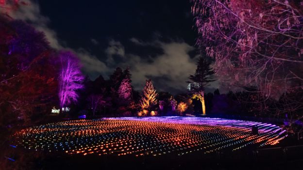 Newcastle: Leazes Park to be lit by Christmas light trail - BBC News