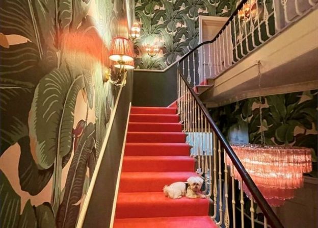 Edinburgh pink door woman says colour was in guidelines - BBC News