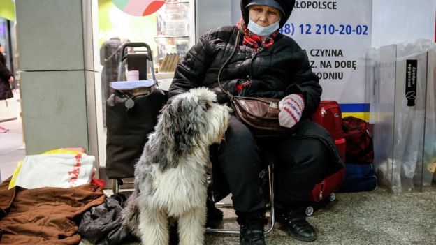 How animals in Ukraine are being rescued during war - BBC News