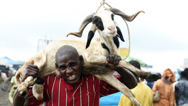 Africa in pictures: 18-24 September 2015 - BBC News