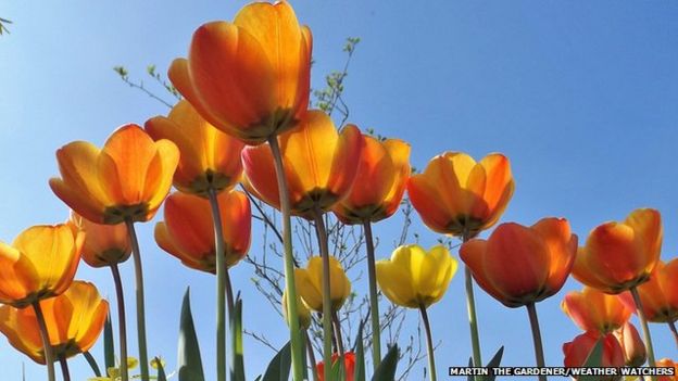 Gallery: Warmest day of the year so far - BBC Weather