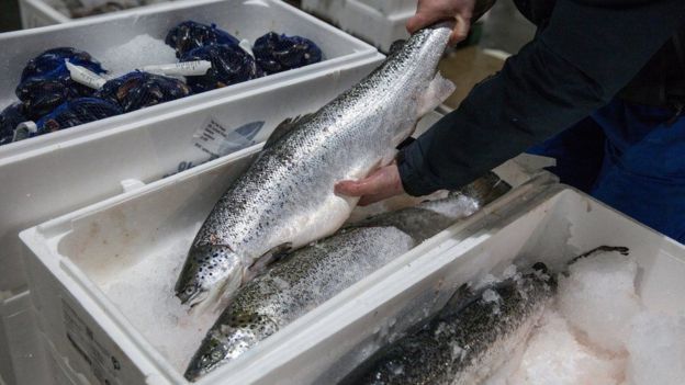 Brexit shellfish delays leave Scottish seafood rotting - BBC News